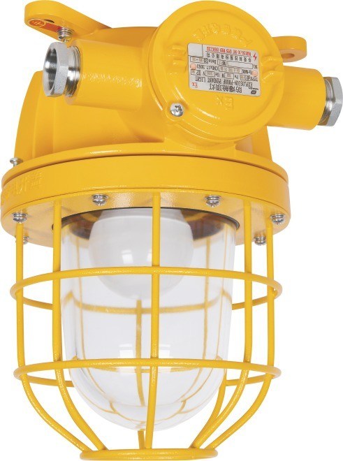 DF1 Explosion Proof Marine Pendant Light Corrosion Proof Waterproof ...